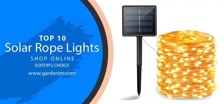 Top 10 Best Outdoor Solar Powered Rope Lights Reviews 2023