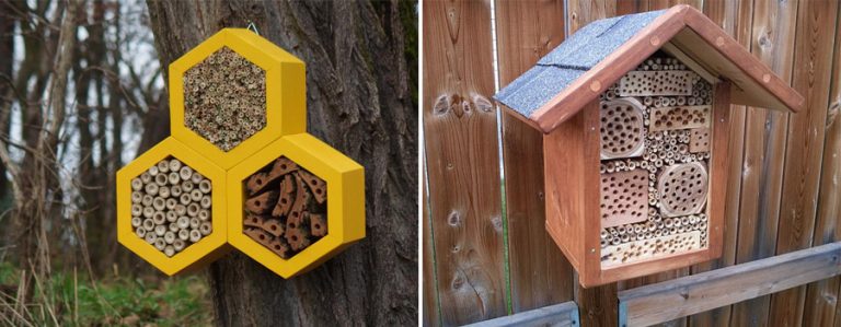 Mason Bee Houses [2023] - How to Correctly Set Up a Mason Bee House