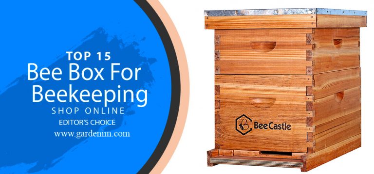 Best Bee Box for Beekeeping 2023 | TOP 15 Hive Bodies & Bee Boxes