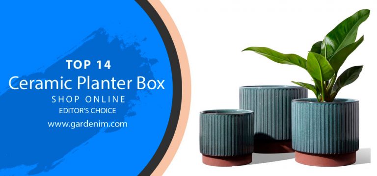 Top 14 Best White Ceramic Planter Box [Buying Guide & Reviewed] 2023